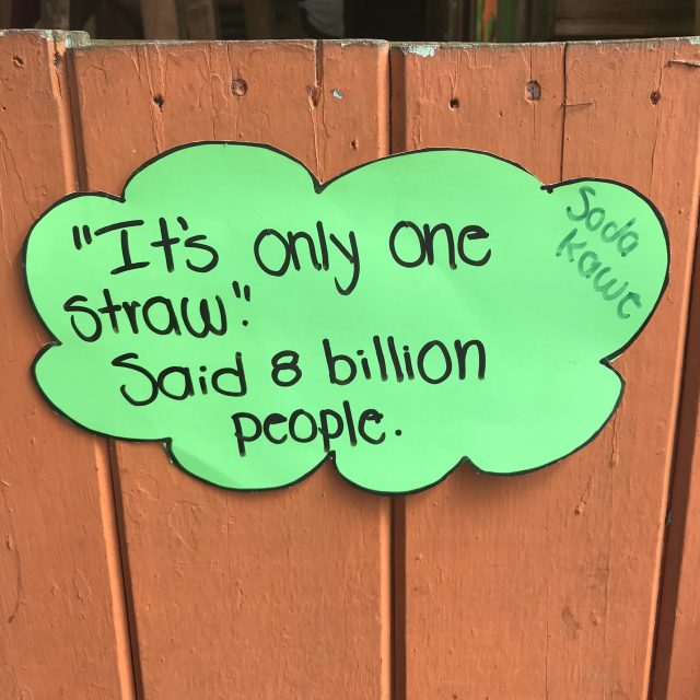 Straw wars: #authres photo resources for Carrie Toth’s Mar de plástico ...