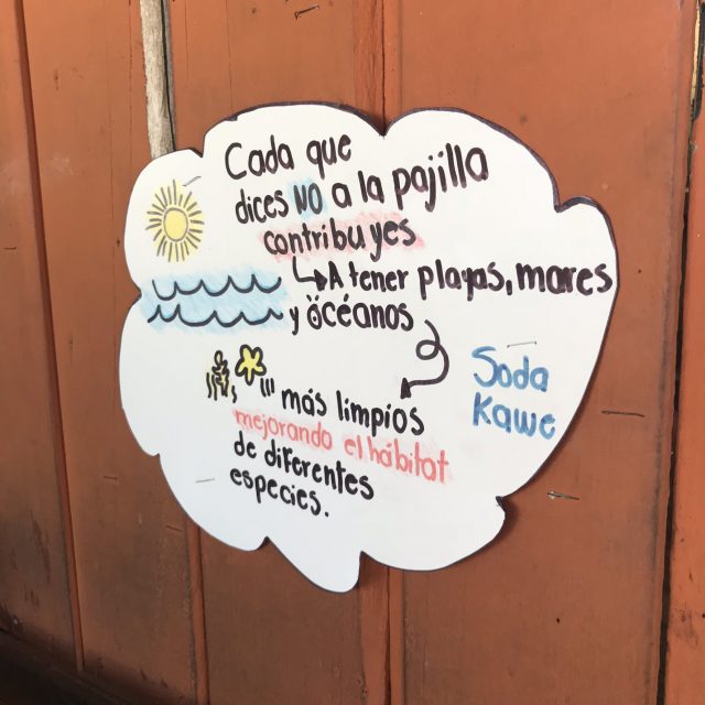 Straw wars: #authres photo resources for Carrie Toth’s Mar de plástico ...